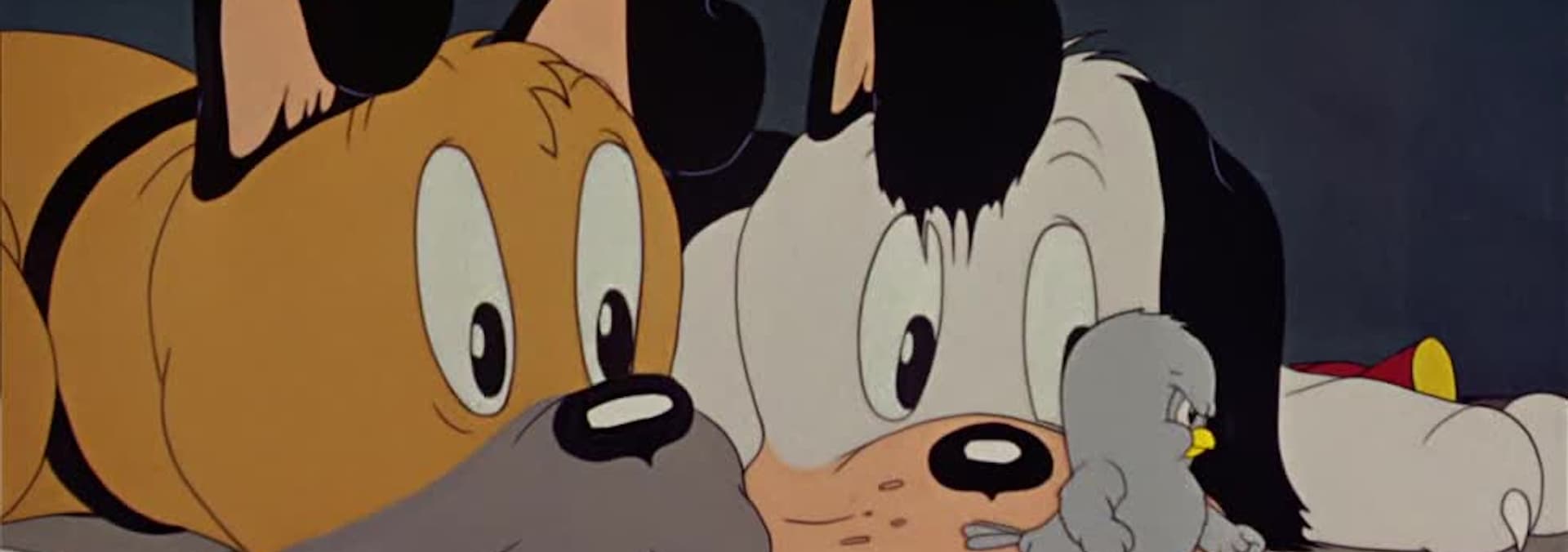 Watch Looney Tunes S11:E09 - Calling Dr. Porky / Good Night Elmer ...