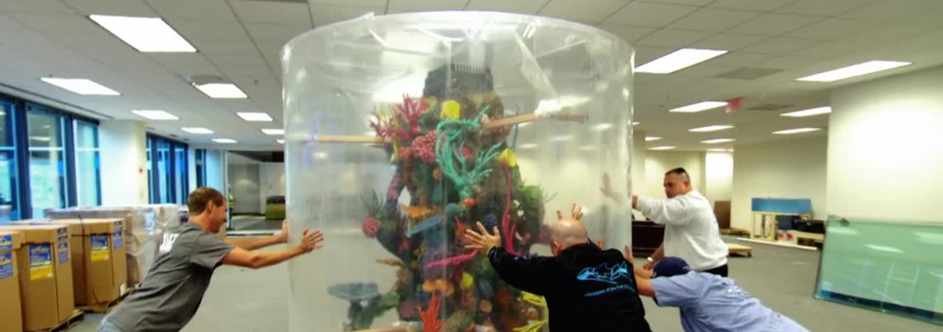 Watch Tanked S06:E06 - Tanked for the Holidays - Free TV Shows | Tubi
