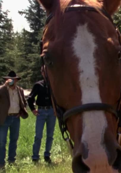 Watch Heartland (Español) S01:E03 - Liberándose - Free TV Shows | Tubi