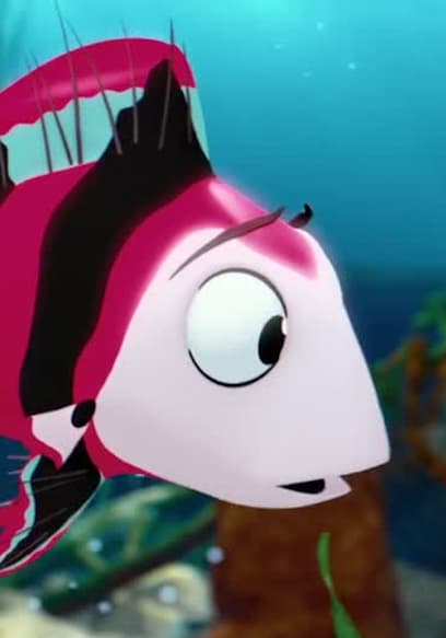 Watch Weird Waters S01:E107 - Scaredy Fish - Free TV Shows | Tubi