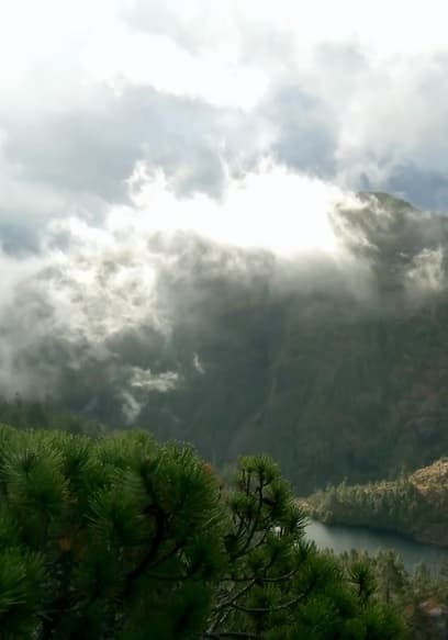 Watch MeatEater S05:E03 - Deer the Hard Way: Prince of Wales Island ...