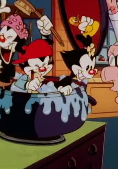 Watch Animaniacs S01:E01 - De-Zanitized/The Monkey Song/Nighty Night ...