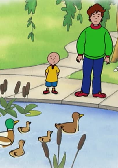 Watch Caillou S03:E88 - Elephants! // Caillou and the Sheep // Caillou ...