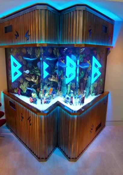 Watch Tanked S09:E04 - Marshawn Lynch Goes Beast Mode - Free TV Shows ...