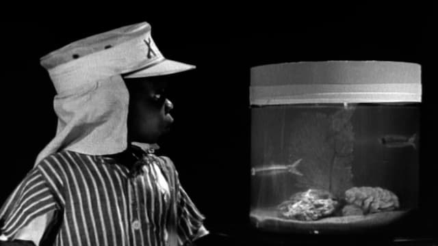 Watch The Little Rascals S01:E78 - Hide and Shriek - Free TV Shows | Tubi