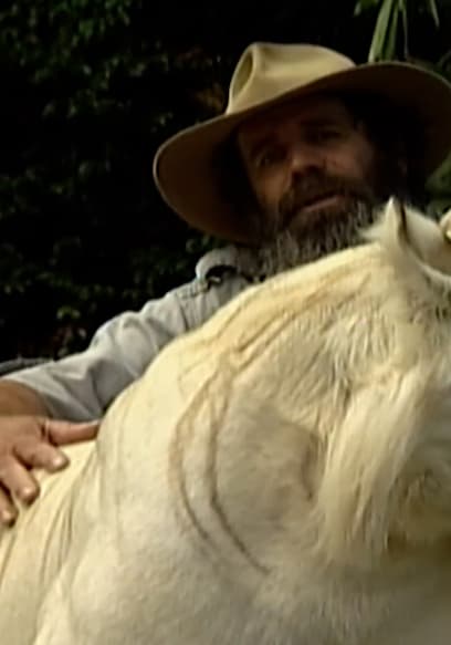 Watch Killer Instinct with Rob Bredl S01:E05 - Big Cats - Free TV Shows ...