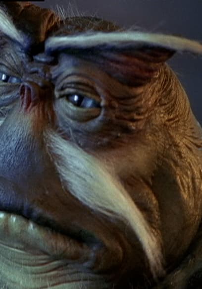 Watch Farscape S03:E19 - I-Yensch, You-Yensch - Free TV Shows | Tubi