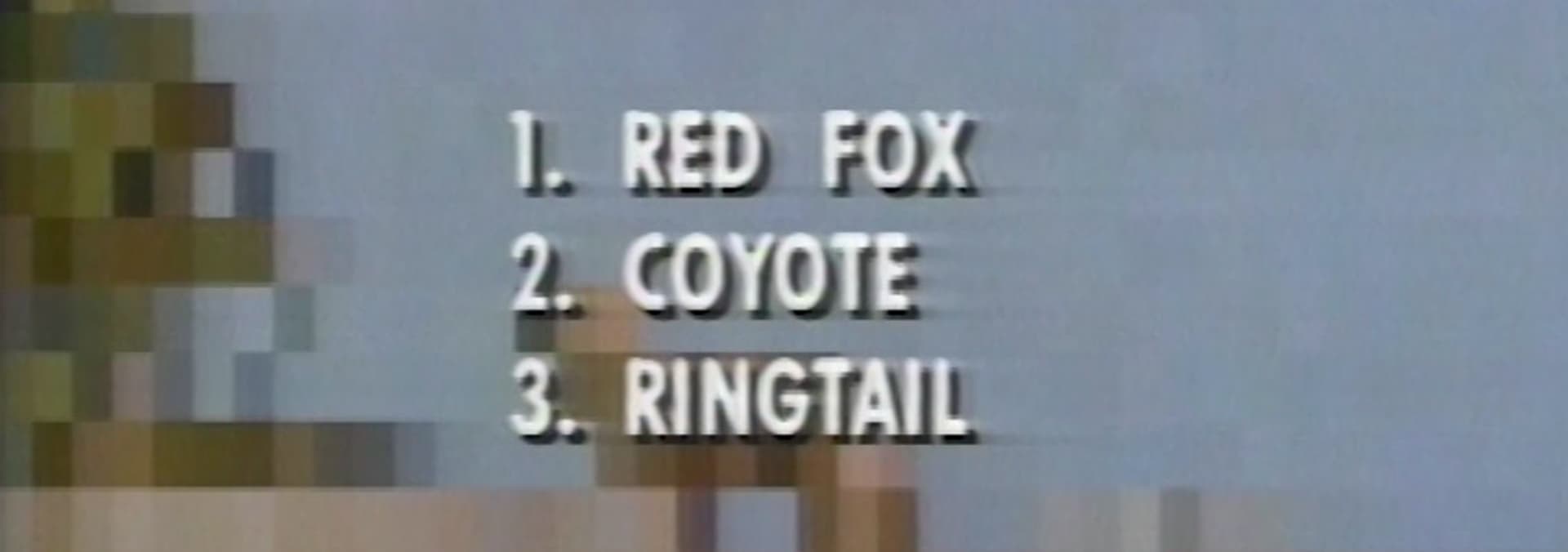 Watch Wild Guess S02:E05 - Hippos vs. Hawks - Free TV Shows | Tubi