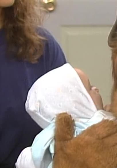 Watch ALF S04:E01 - Baby, Come Back - Free TV Shows | Tubi