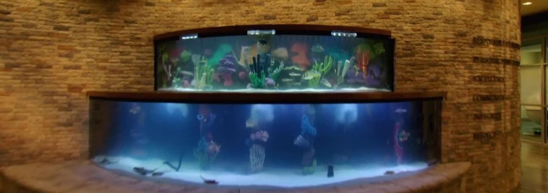 Watch Tanked S06:E04 - Crazy Client Requests - Free TV Shows | Tubi