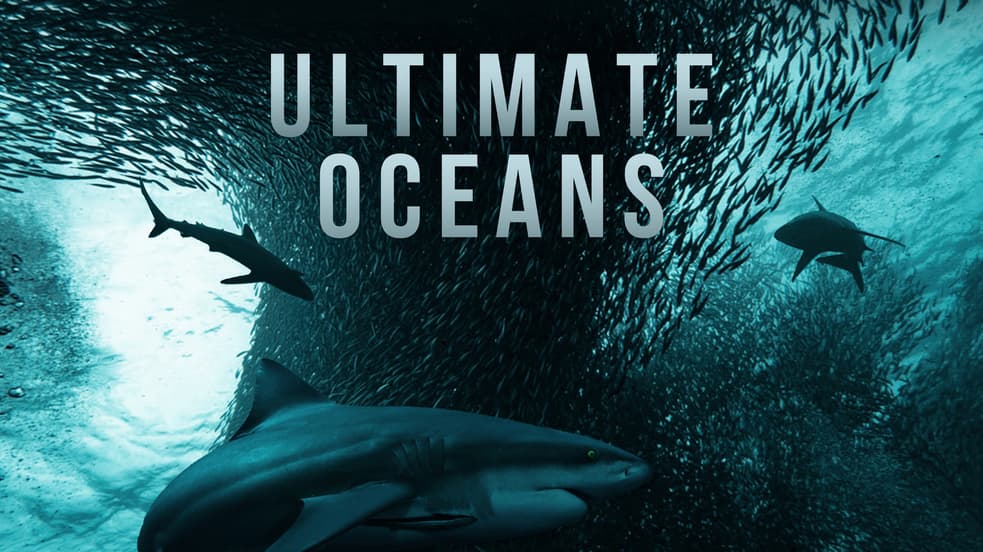 Watch Ultimate Oceans Streaming Online | Tubi Free TV