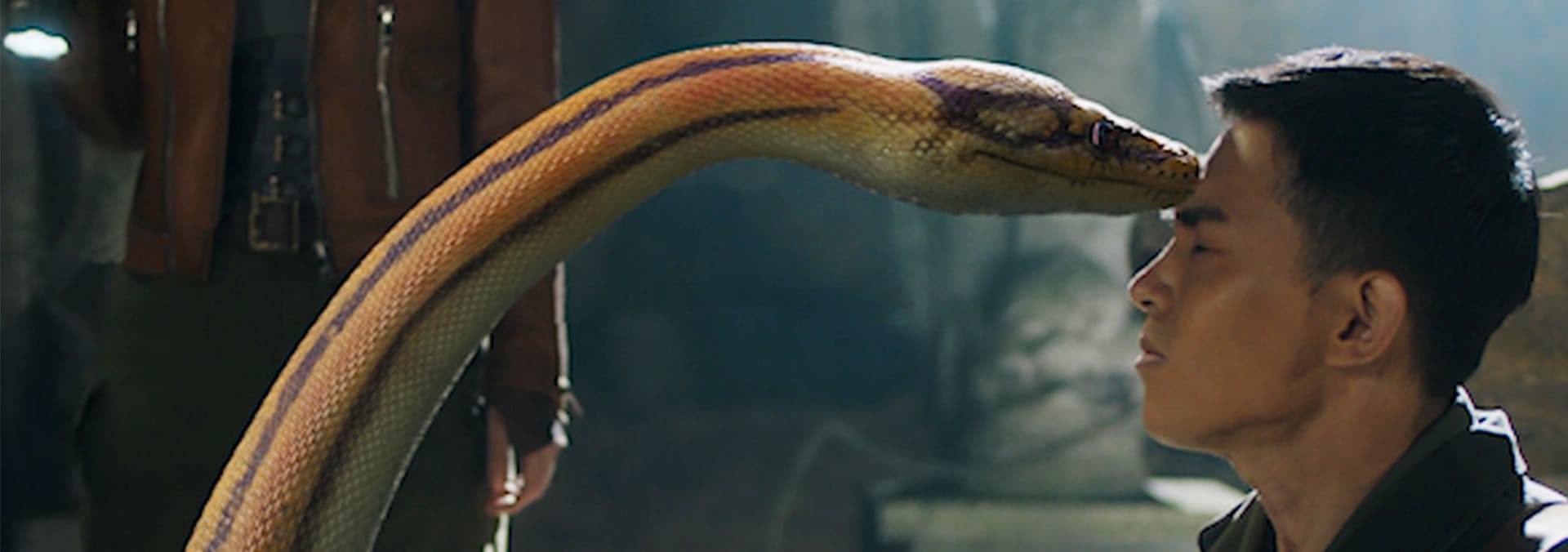 Watch Python Island (2021) - Free Movies | Tubi