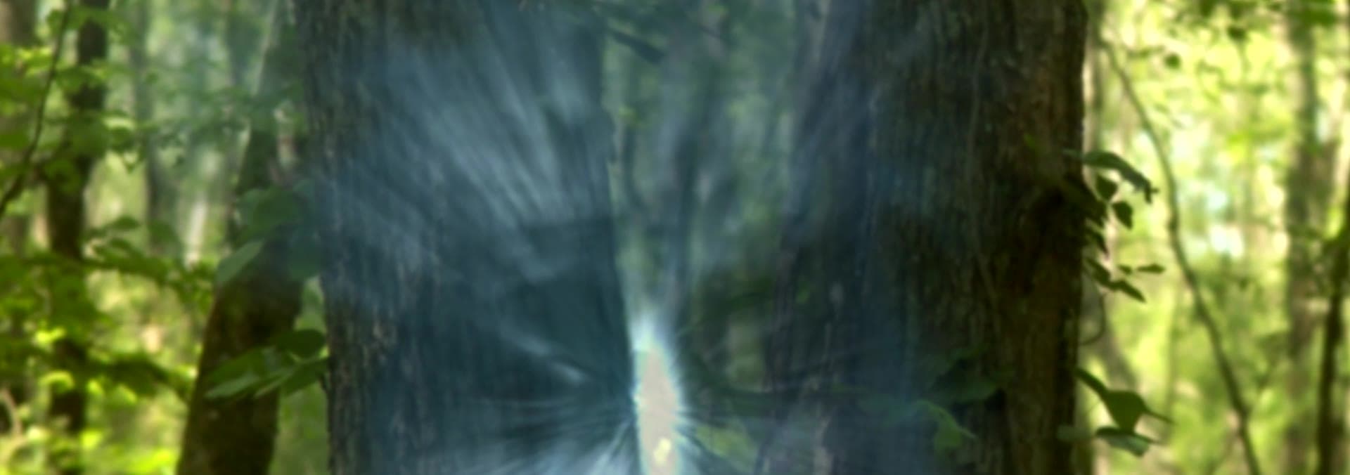 Watch The Bridgewater Triangle (2013) - Free Movies | Tubi
