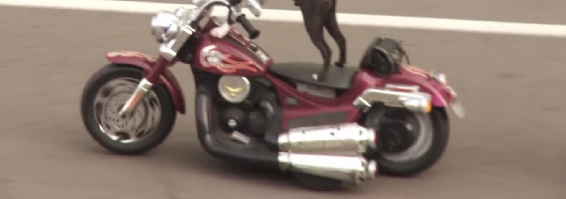 Watch The Devils Ride S01:E05 - Sinister Moves - Free TV Shows | Tubi