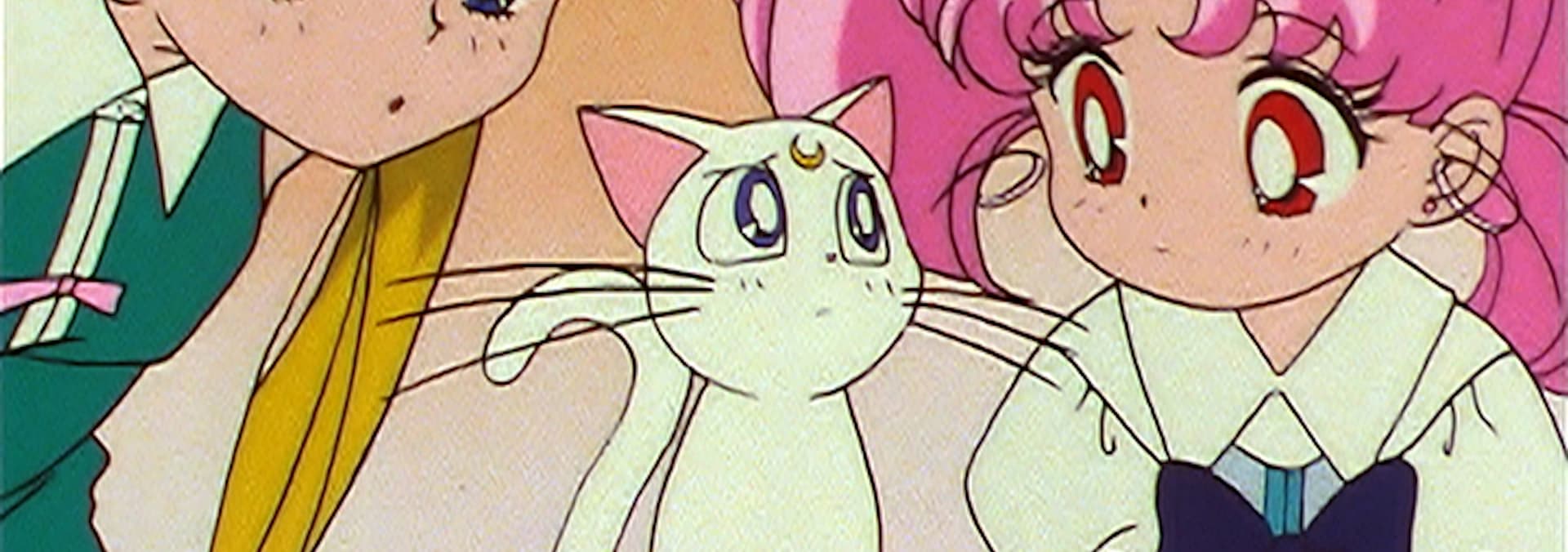 Watch Sailor Moon S04:E14 - Storm of Love: Minako's Grand Two-timing ...