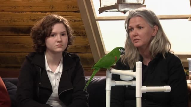 Watch Finding Stuff Out Streaming Online | Tubi Free TV