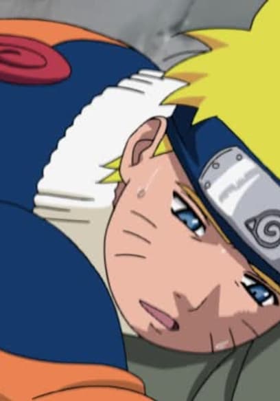 Watch Naruto (Dubbed) S04:E177 - Please, Mr. Postman! - Free TV Shows ...