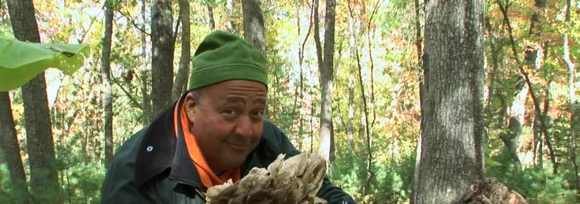 Watch Bizarre Foods With Andrew Zimmern S02:E28 - Appalachia - Free TV ...