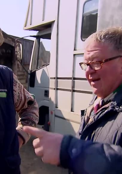 Watch Antiques Road Trip S15:E18 - Phil Serrell and Arusha Irvine: Day ...