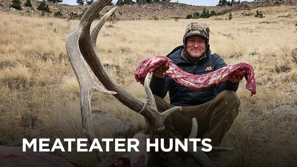 Watch MeatEater Hunts Season 2 Streaming Online | Tubi Free TV