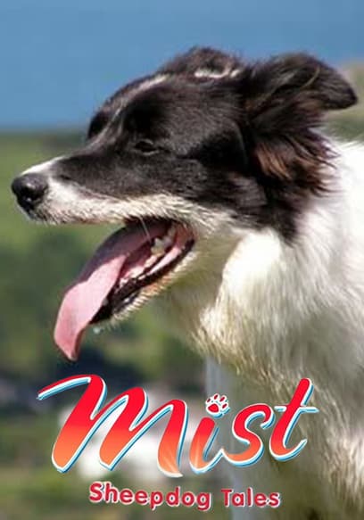 Watch Mist Sheepdog Tales - Free TV Shows | Tubi