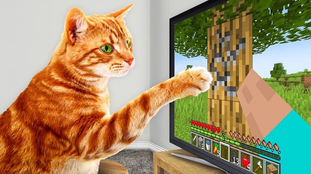 Watch Minecraft with EYstreem S03:E08 - Cats Beat Minecraft - Free TV ...
