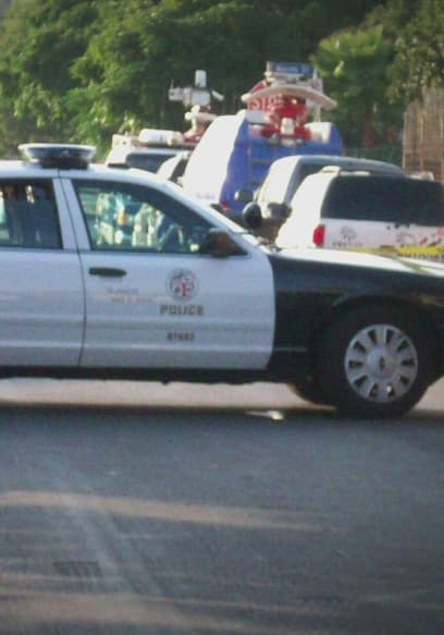 Watch Gangsters: America's Most Evil S02:E09 - Mother of the Avenues ...