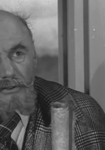Watch The Real McCoys S06:E18 - Sir Fergus McCoy - Free TV Shows | Tubi