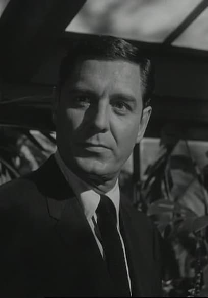 Watch Peter Gunn S02:E13 - Terror on the Campus - Free TV Shows | Tubi
