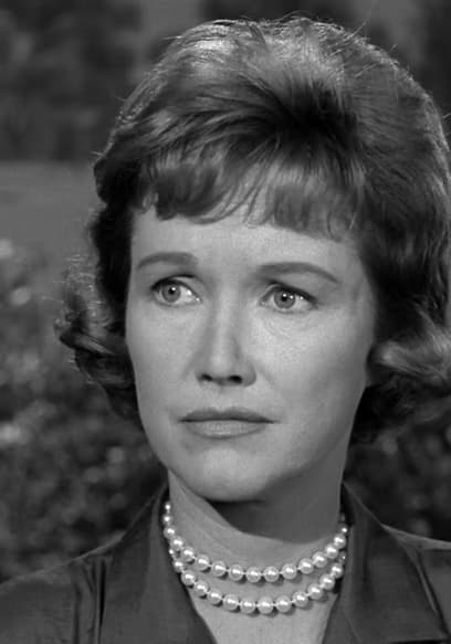 Watch Perry Mason S05:E12 - The Case of the Brazen Bequest - Free TV ...