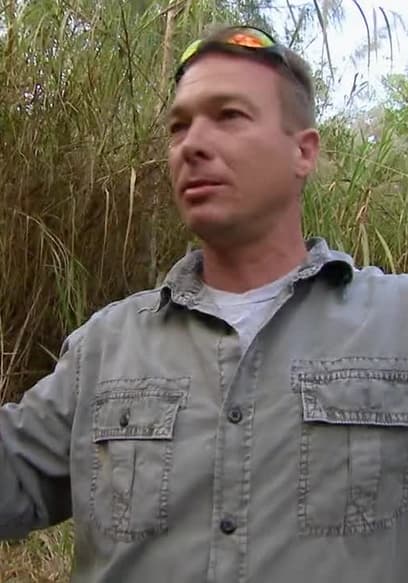 Watch Python Hunters S01:E01 - The Perfect Storm - Free TV Shows | Tubi