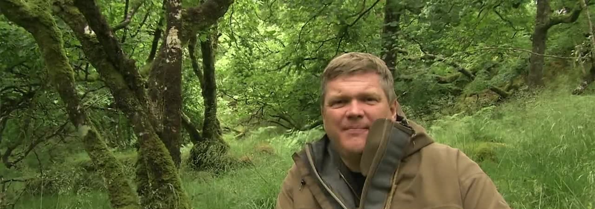 Watch Wild Britain With Ray Mears S03:E06 - Argyll Rainforest - Free TV ...
