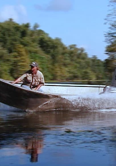 Watch Swamp People S02:E16 - Swamp Showdown - Free TV Shows | Tubi