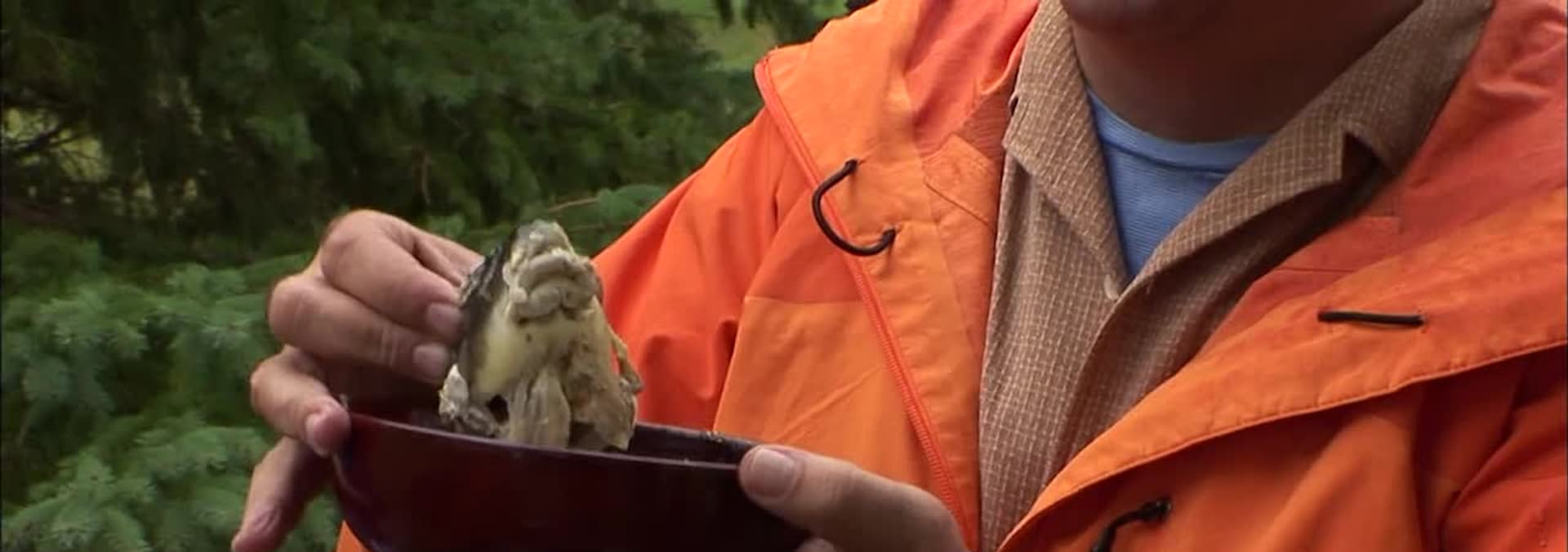 Watch Bizarre Foods With Andrew Zimmern S02:E05 - Minnesota - Free TV ...