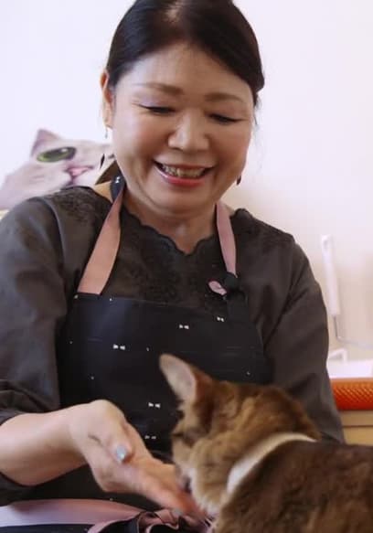 Watch Into the Rising Sun S01:E02 - Tradition of Innovation - Free TV ...