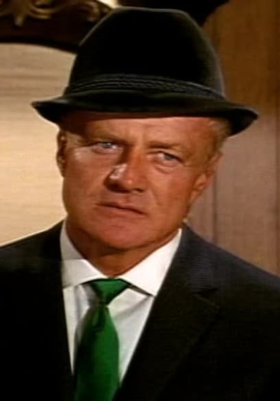 Watch Family Affair S01:E07 - Mrs. Beasley, Where Are You? - Free TV ...