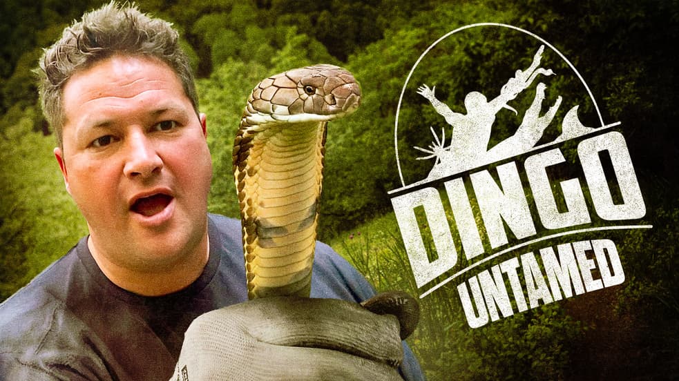 Watch Dingo Untamed Streaming Online | Tubi Free TV