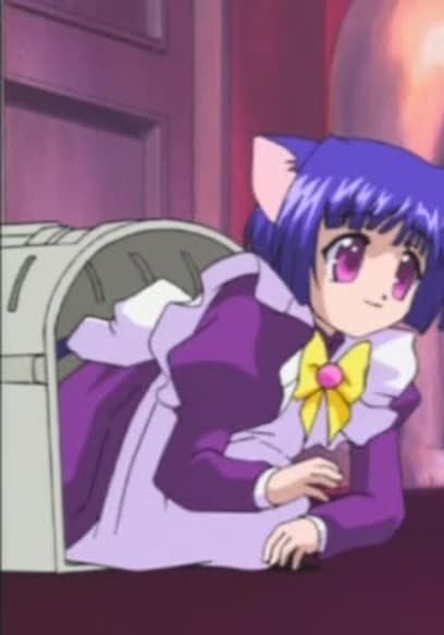 Watch Magical Meow Meow Taruto S01:E11 - Scary, Scary - Free TV Shows ...