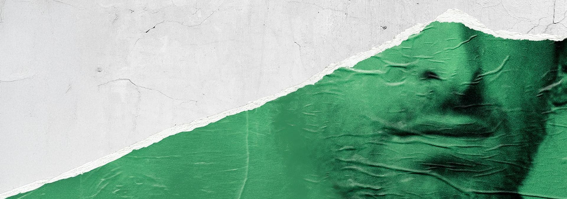 Watch The Rim (2024) - Free Movies | Tubi