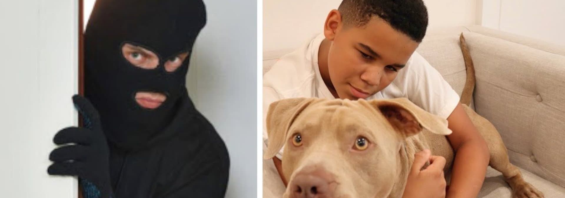Watch Rush Studios S03:E05 - Man Abuses Dog, Then Dog Saves His Family ...
