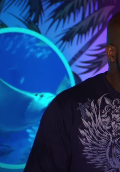 Watch Tanked S09:E14 - Shaq-a-Tank! - Free TV Shows | Tubi