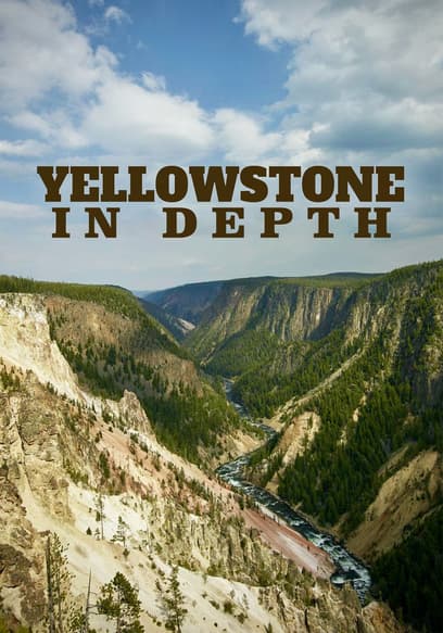 Watch Yellowstone in Depth (2017) - Free Movies | Tubi