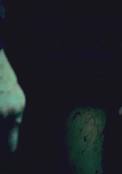 Watch Velvet Trailer (2021) - Free Movies | Tubi