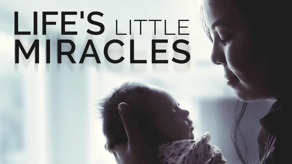 Watch Life's Little Miracles Streaming Online | Tubi Free TV