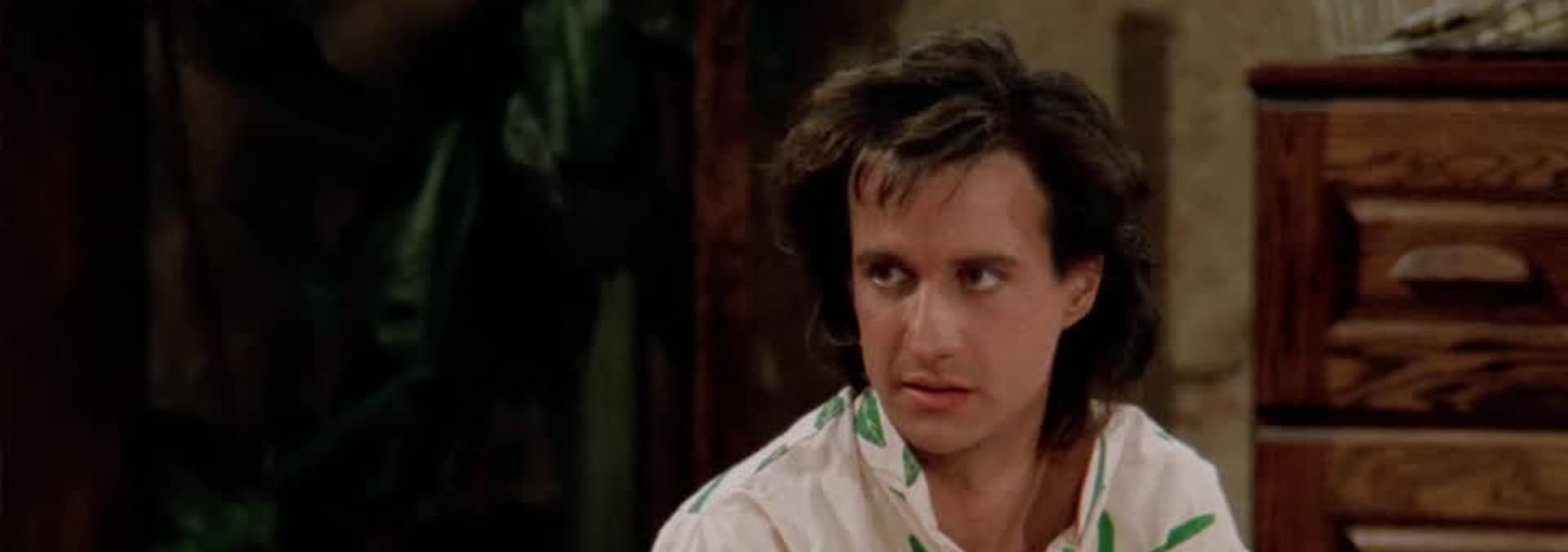 Watch Perfect Strangers S06:E19 - See How They Run - Free TV Shows | Tubi