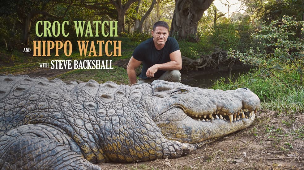 Watch Croc Watch and Hippo Watch With Steve Backshall Streaming Online ...