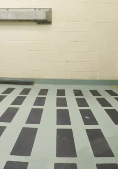 Watch The Zoo S02:E02 - The Tiger's Dance - Free TV Shows | Tubi