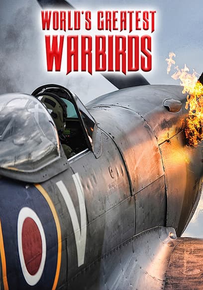 Watch World's Greatest Warbirds (2016) - Free Movies | Tubi