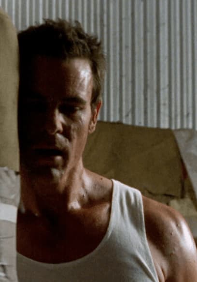 Watch McLeod's Daughters S06:E14 - The Legend of Harry Ryan - Free TV ...