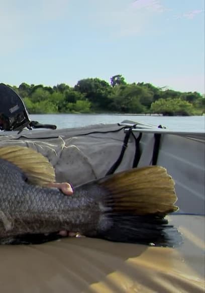 Watch River Monsters S02:E05 - Rift Valley Killers - Free TV Shows | Tubi